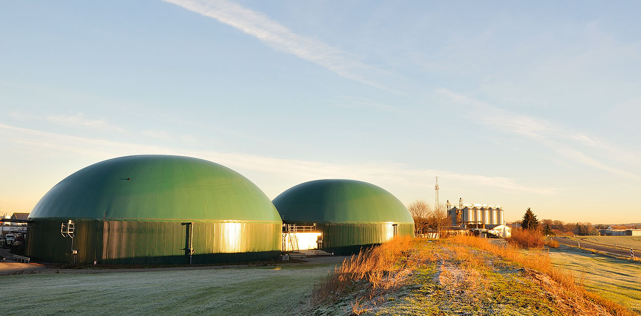 Pourquoi choisir un gaz vert pour alimenter son local commercial ? | Endesa